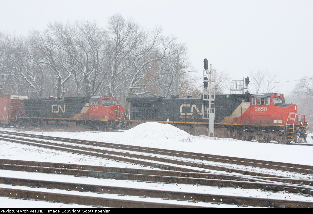 CN 2650